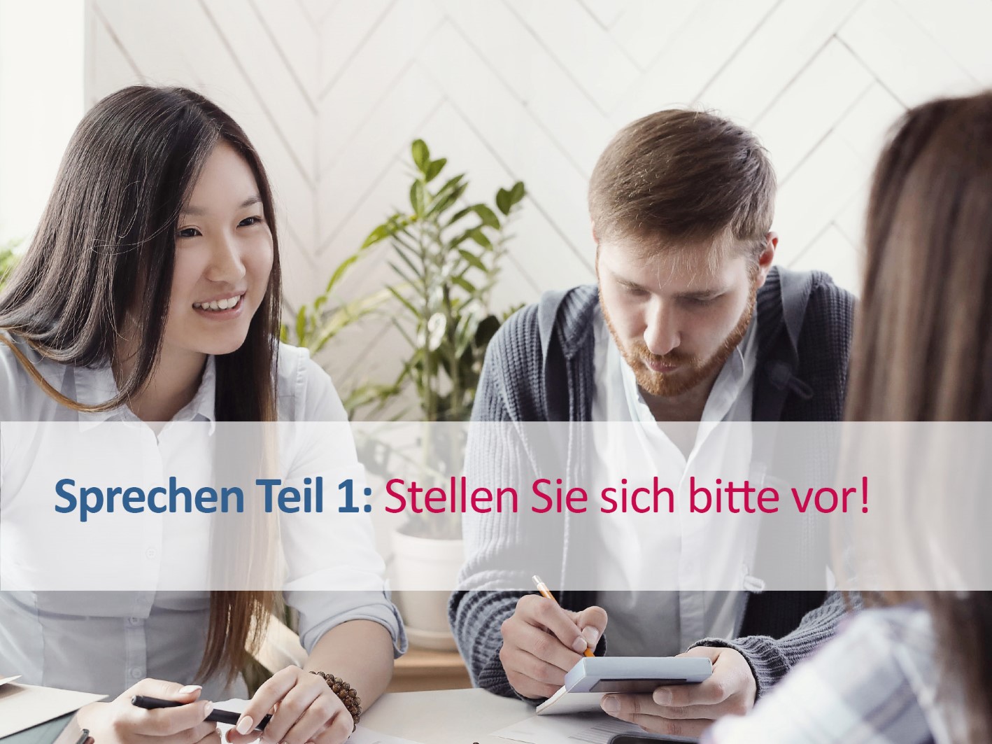 Book Premium German training